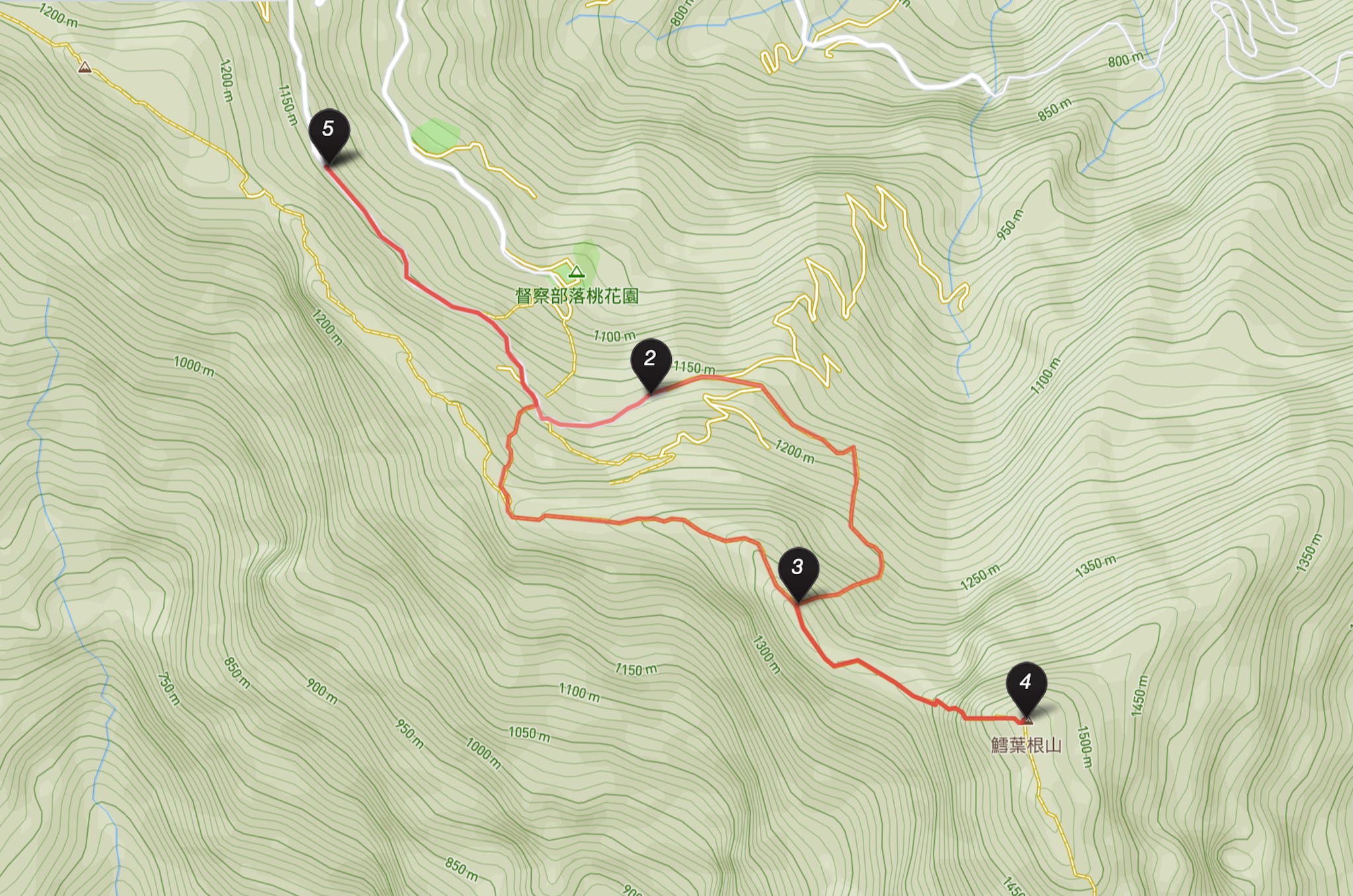 Cod Leaf Root Mountain Trail - Hikingbook