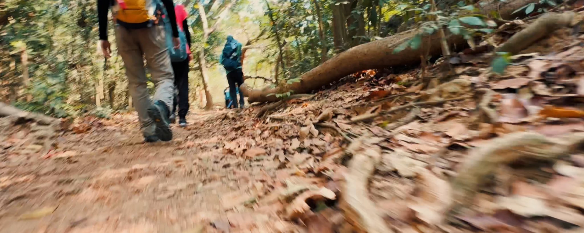 阿樂's Profile - Hikingbook