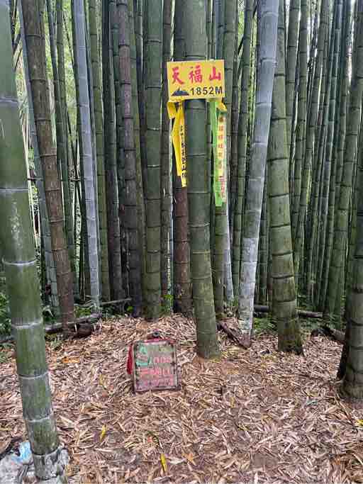 Ascend and traverse Fuhong Mountain, climb Ta Dong Mountain and ...