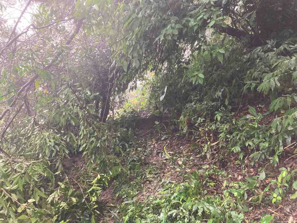 1020207石門山 - Hikingbook