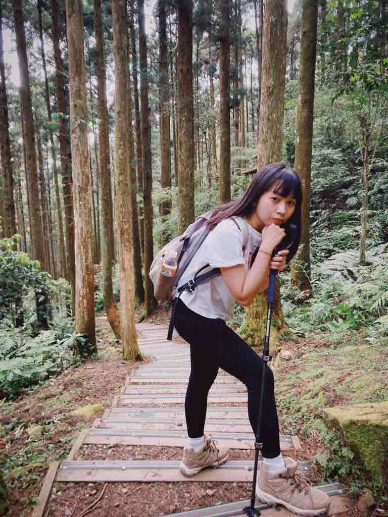 東眼山 - Hikingbook