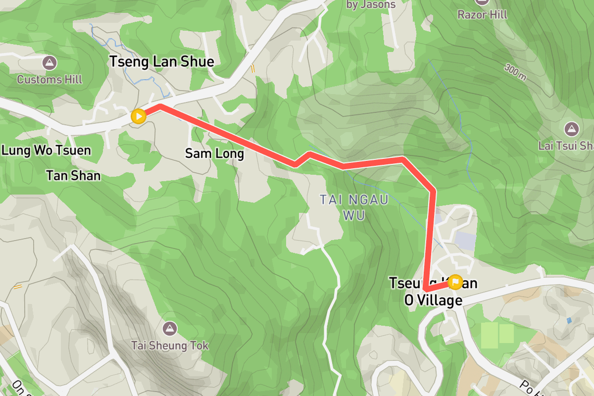 1/3/2025 午後輕裝行山_Wilson Trail (Section 4) from Jing Lan Tree to Sha Tin Pass - Hikingbook