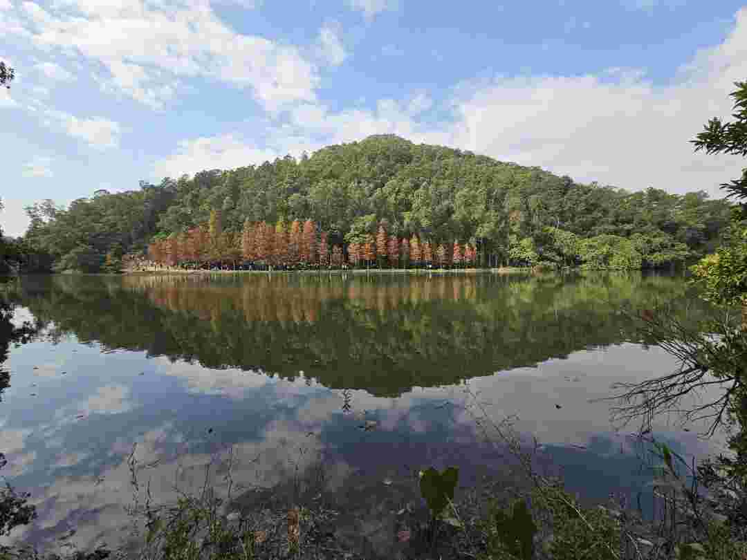 流水響郊遊徑 - Hikingbook