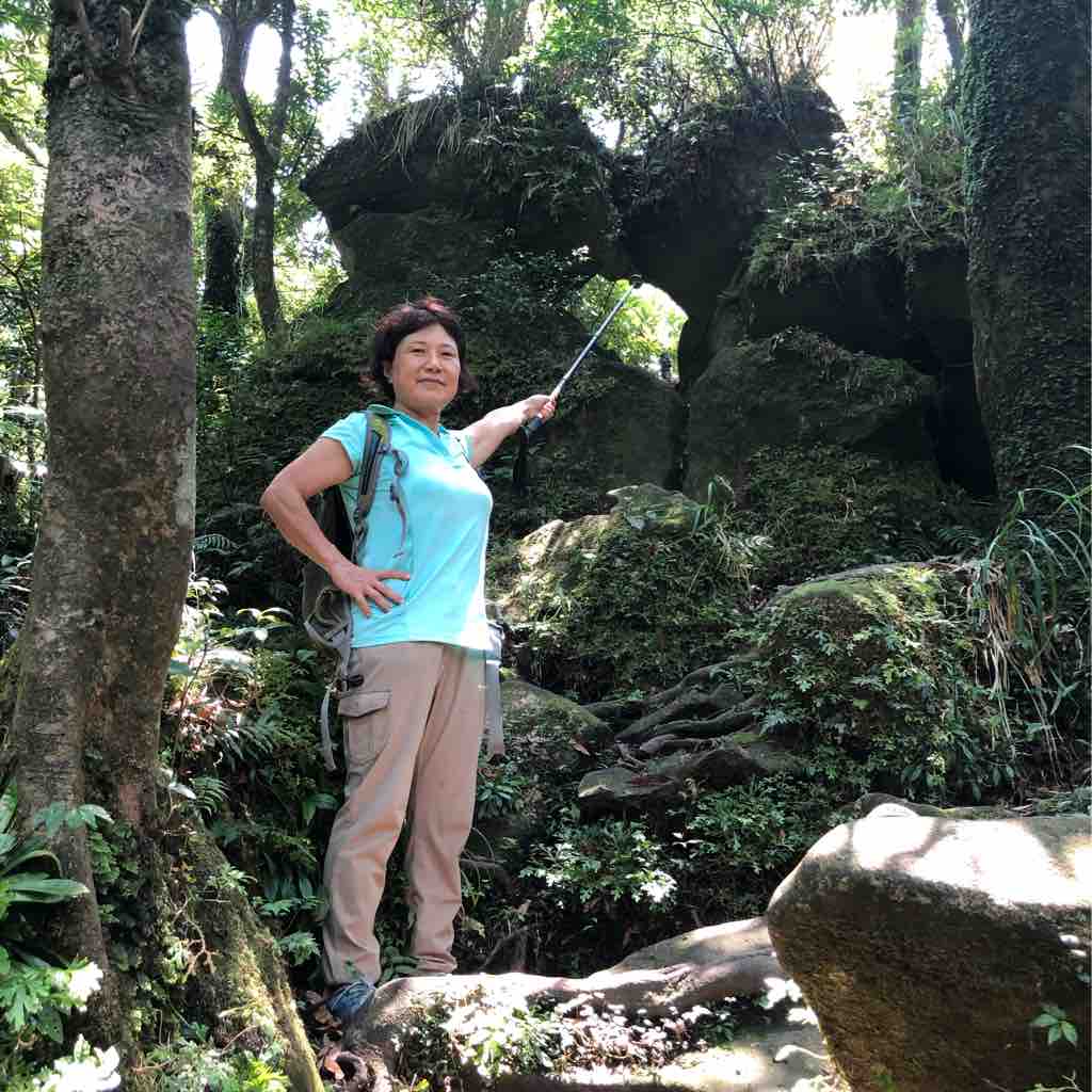 七星南峰 恐龍接吻石 - Hikingbook