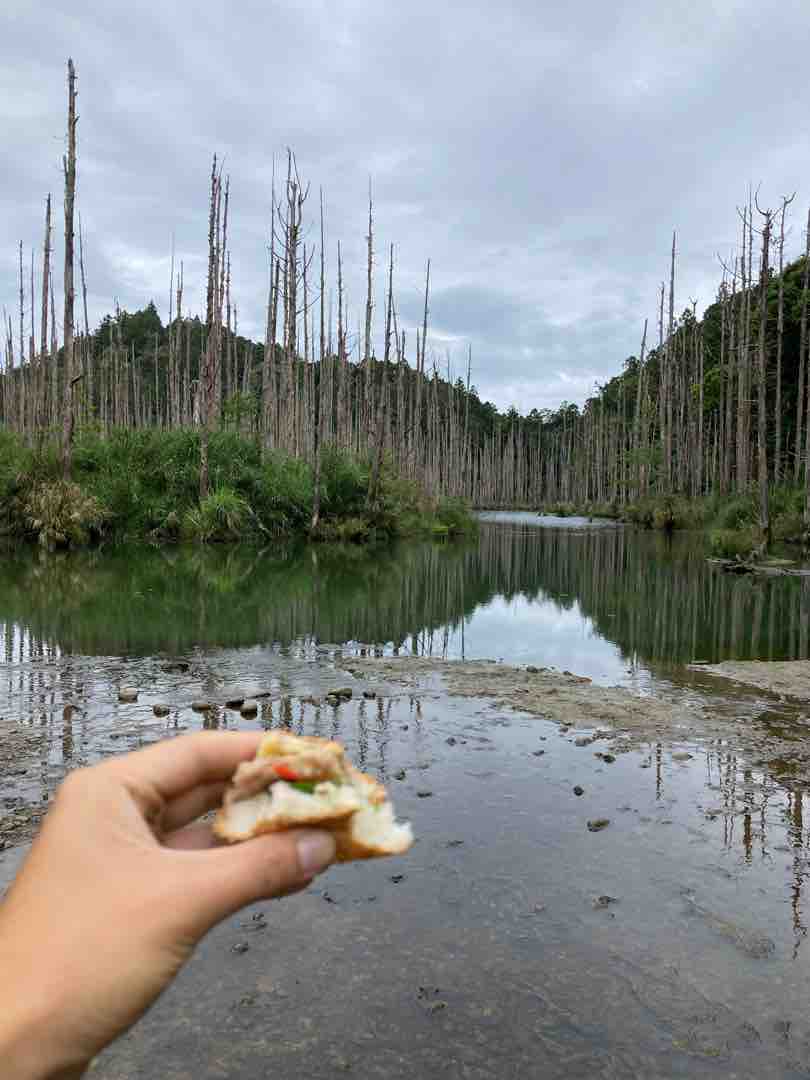 2024 水漾森林 衫林溪進出 - Hikingbook
